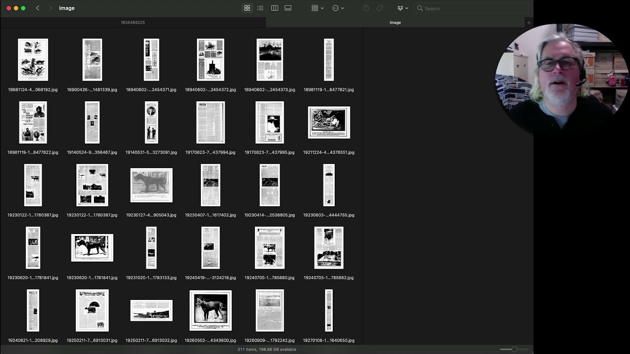 GLAM Workbench – using the Trove Newspaper & Gazette Harvester (the web app version)