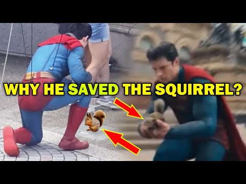 Secret Message Behind Superman Saving Squirrel REVEALED