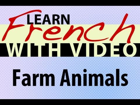 Learn French with Videos - Farm Animals