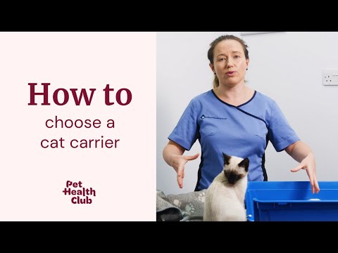 How to choose a SAFE cat carrier | your vet guide