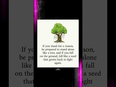 #stand #tree #grow #quotes #status #quoteoftheday #quotesaboutlife #words #thoughts #shorts