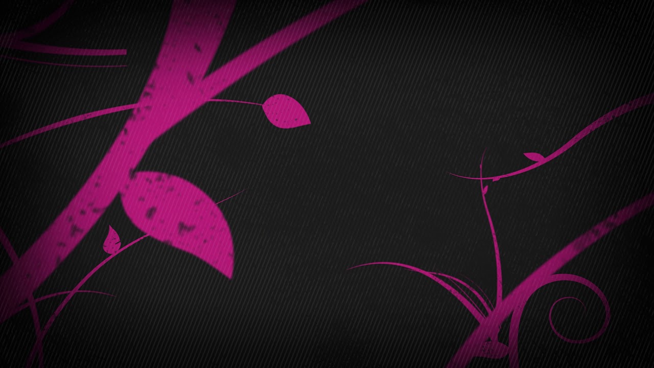 Pink vector flowers on black background