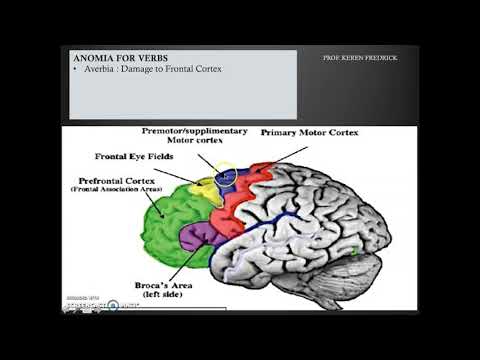ANOMIC APHASIA | NEUROPSYCHOLOGY | Prof. Keren Fredrick