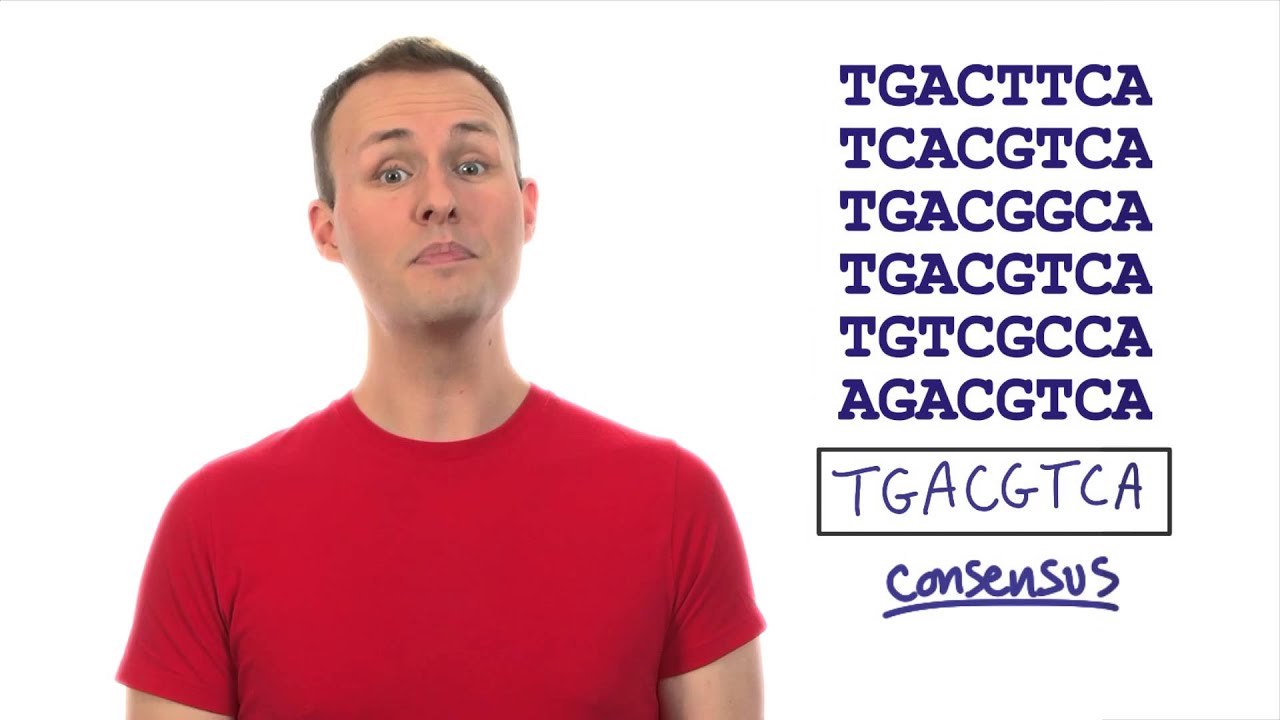 Consensus Sequence - Tales from the Genome