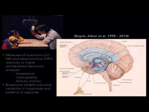 Keynote III: The Oral Biology of Misfortune - Thomas Boyce