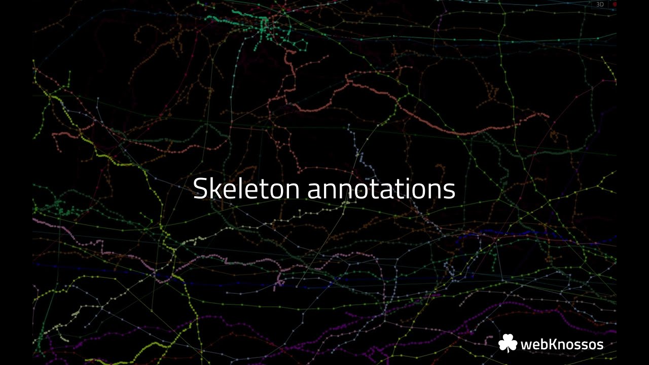webKnossos - Skeleton annotations