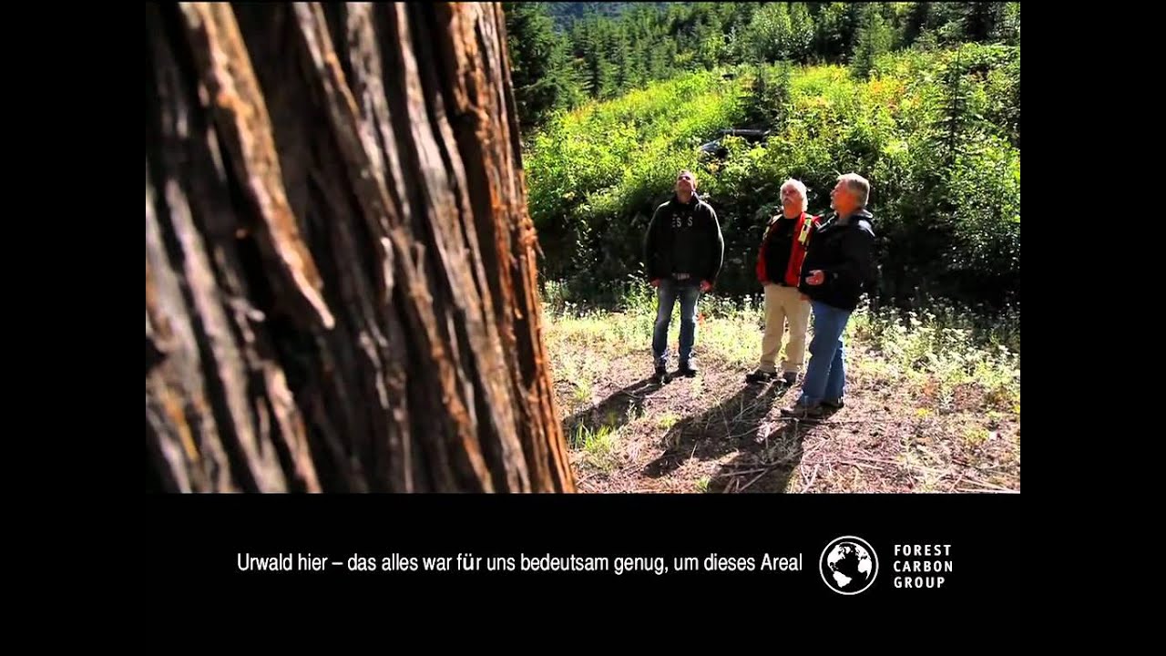 Darkwoods Forest Carbon Project