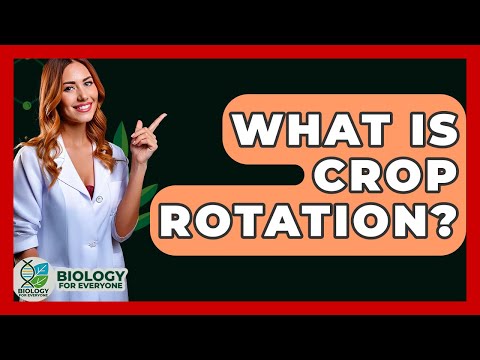 Apa itu Rotasi Tanaman? - Biologi untuk Semua