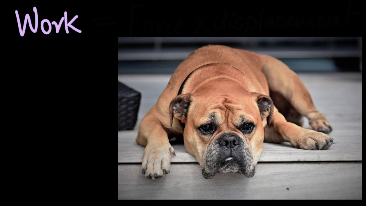 Positive & negative work | Work & Energy | Physics | Khan Academy