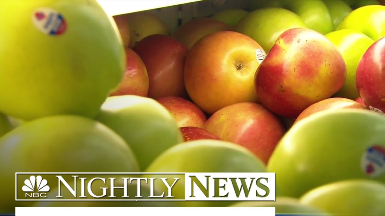 National Academies Assert GMO Crops Are Safe, Share Their Evidence | NBC Nightly News
