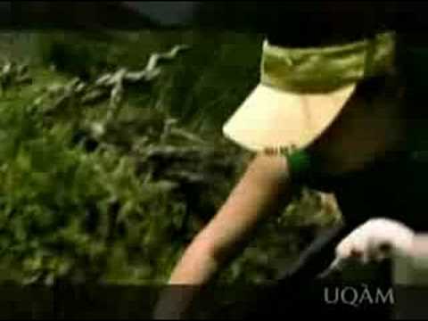 UQAM.tv | Baccalauréat en biologie de l'UQAM