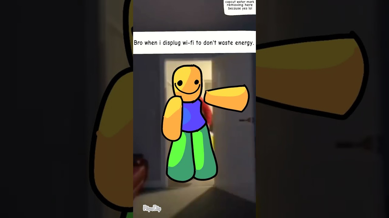 Pov: Bro when i displug the Wi-fi to don't waste energy.