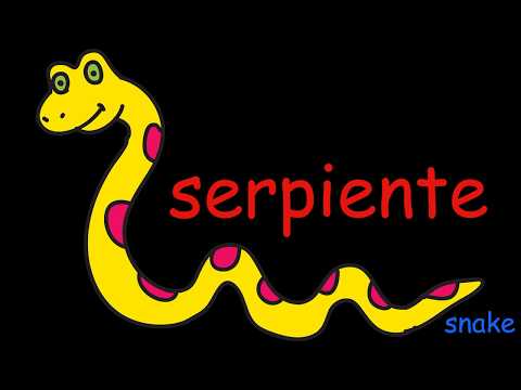 Rosie & Andy: Word of the Day - SNAKE / SERPIENTE