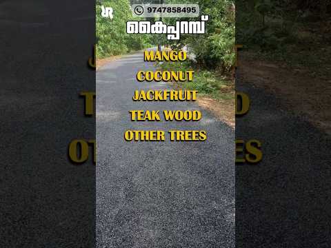 LAND FOR SALE | 39 CENT | KAIPARAMBU | THRISSUR | #thrissur #kerala #land #sale #realestate
