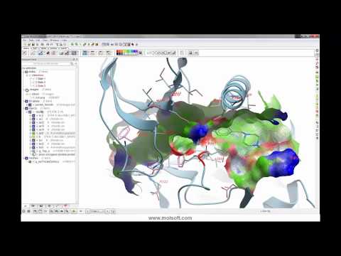 Molecular graphics: how to contrast and how to create a comprehensive ...