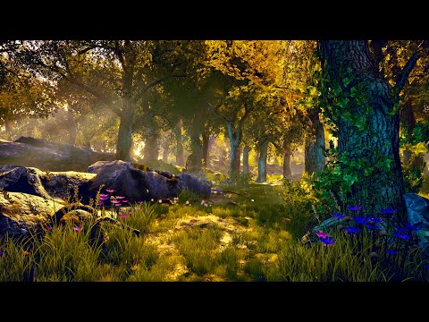 Enchanted Forest Ambience | Peaceful Fantasy Music for Relaxation, Reading & Studying