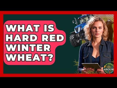 What Is Hard Red Winter Wheat? - The World of Agriculture