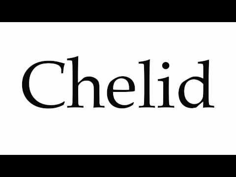 How to Pronounce Chelid