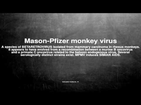 Medical vocabulary: What does Mason-Pfizer monkey virus mean