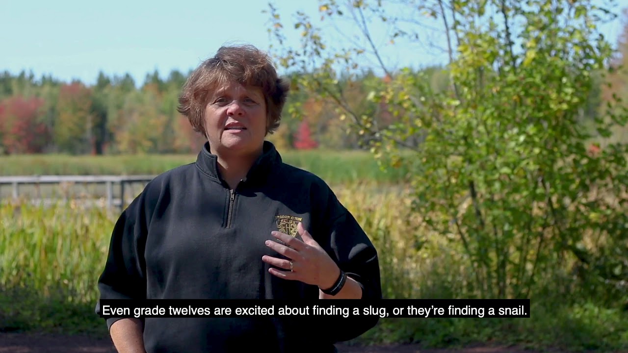 Why Outdoor Classrooms Work