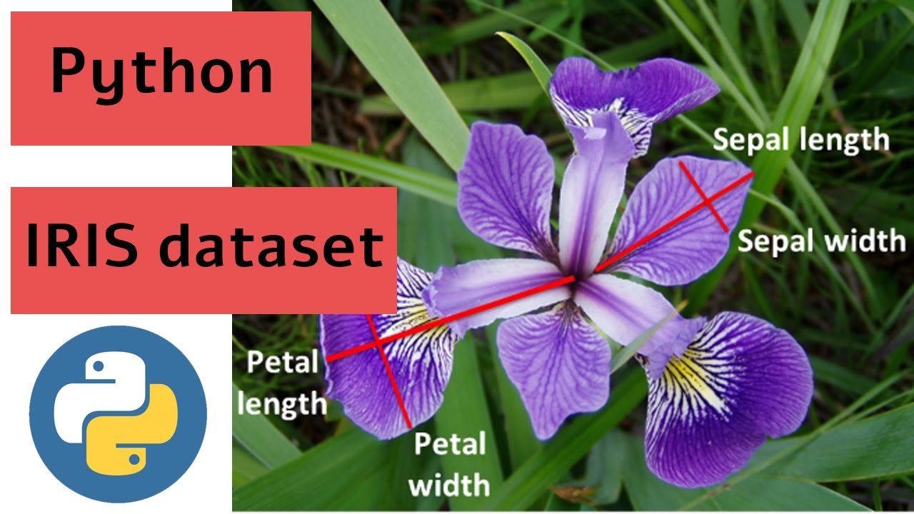 15 iris Dataset Machine Learning project, data analysis in python, matplotlib, pandas