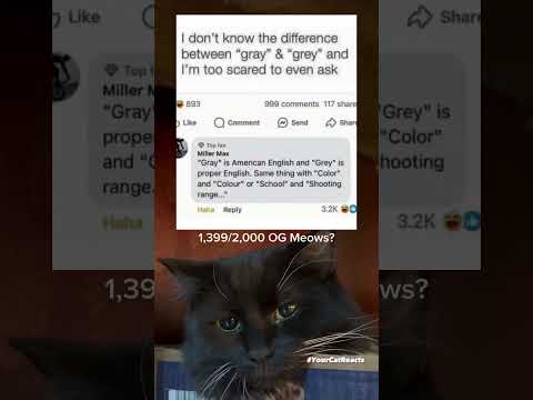 Difference between gray and grey? #relatable #fyp #shorts #viralvideo #trending