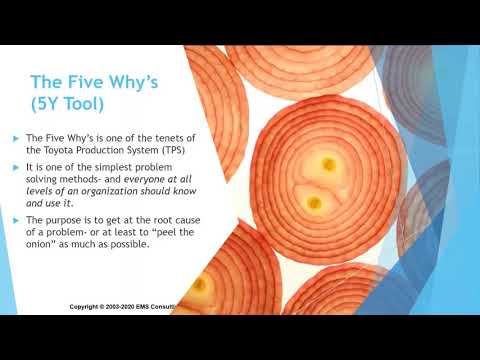 How to Use a Fishbone Diagram and How to Use the Five Why's