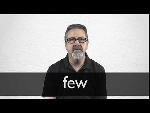 FEW——含义、同义词和翻译| 柯林斯英语词典资源