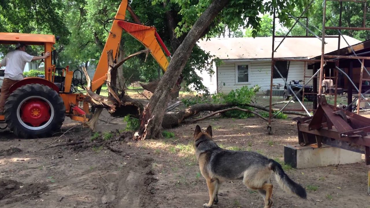 Ford Powermaster 713 backhoe knocks down a tree