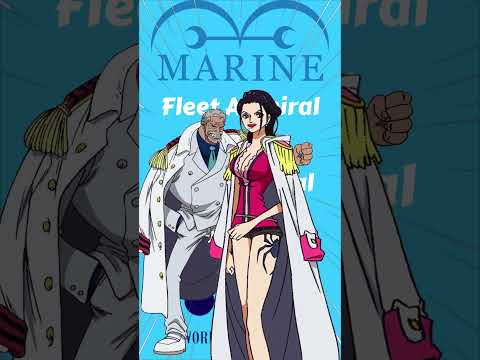 The One Piece Marine System EXPLAINED