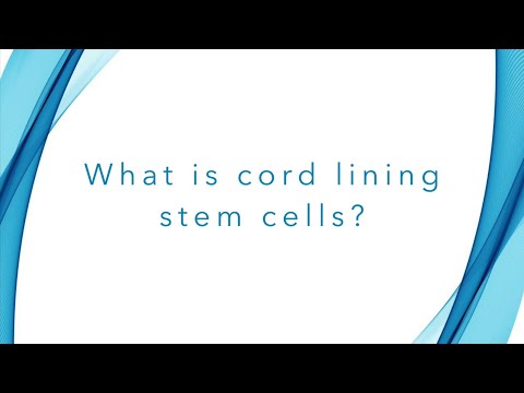What is Cord Lining Stem Cells?