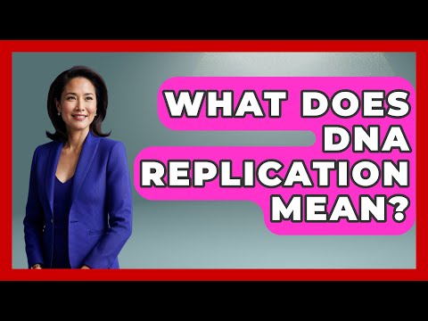 What Does DNA Replication Mean? - Biology For Everyone