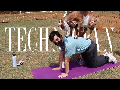 Technician Tries Wolfstock