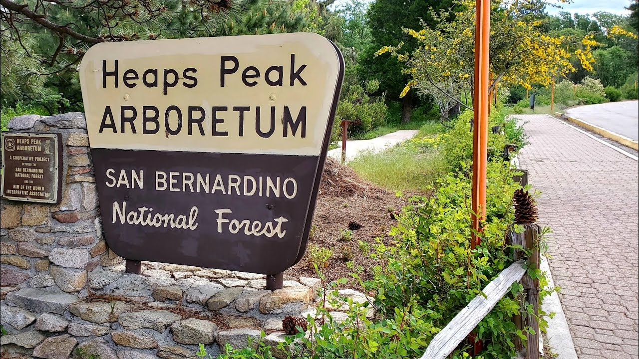 Heaps Peak Arboretum - May 2020