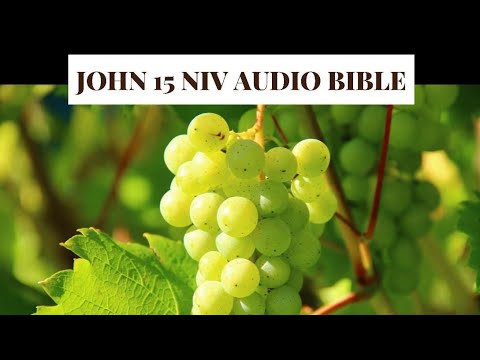 John 15 NIV AUDIO BIBLE(with text)