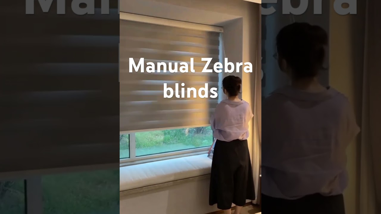 Blackout manual zebra blinds #blinds #curtains