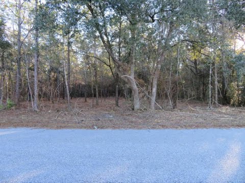 Lots And Land for sale - 00 Whitfield Road, Panama City, FL 32404