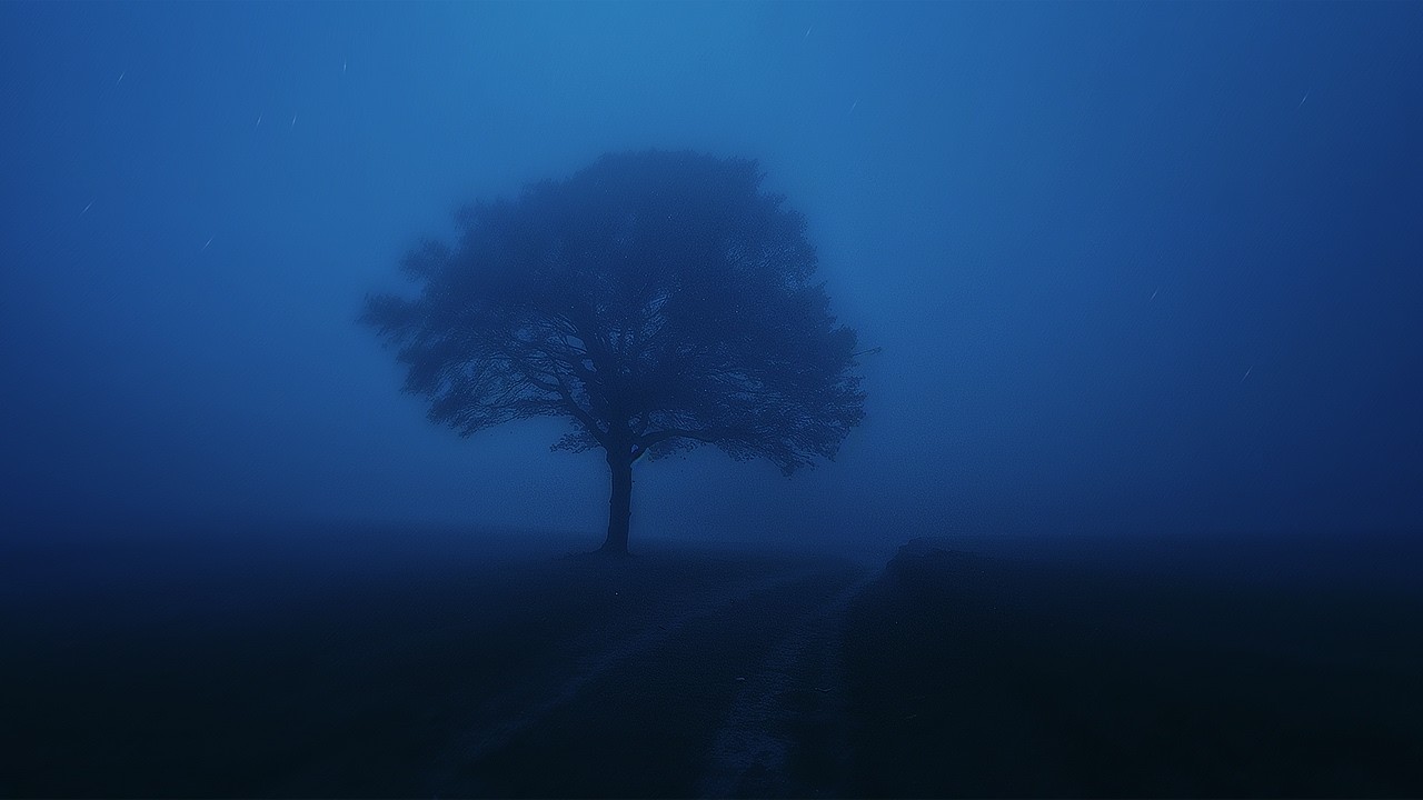 safe space for your thoughts // 3 hour ambient mix