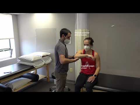 Manual Muscle Test for Shoulder Horizontal Abduction