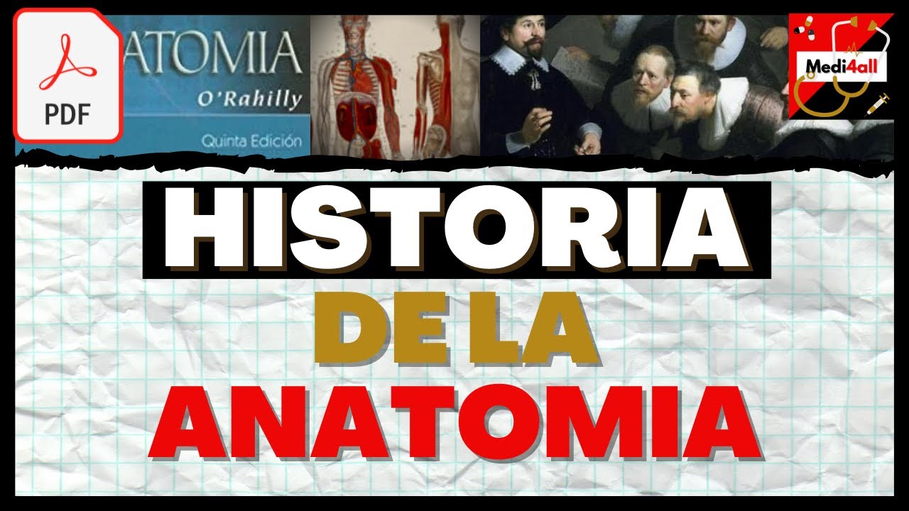 History of Anatomy (Summary)