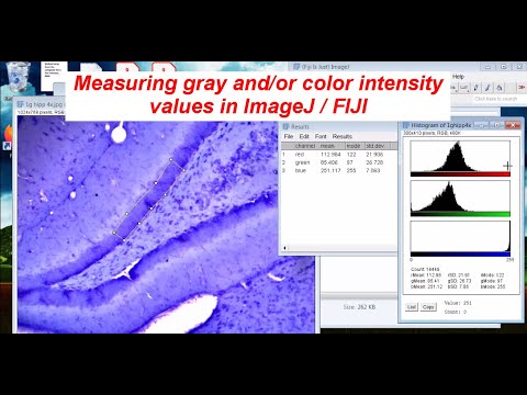 Measuring gray & color intensity with ImageJ / FIJI (SEE DESCRIPTION)