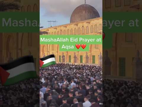 Muslim are not terrorist🥲Proud to be a Muslim❤️Allah is Enough for us❤️ #freepalestine#freepalestin