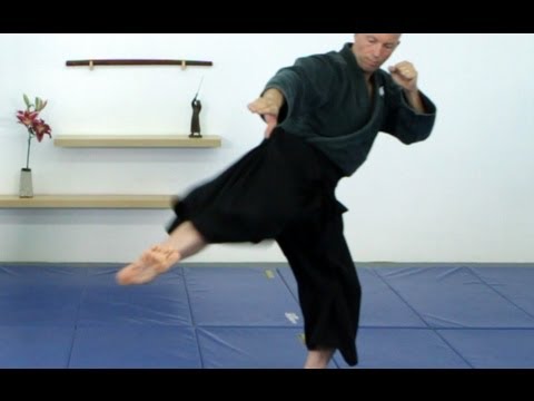 Ninjutsu Kicks | AKBAN