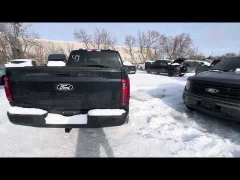 2025 FORD F150 XLT 301A