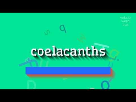 How to say "coelacanths"! (High Quality Voices)