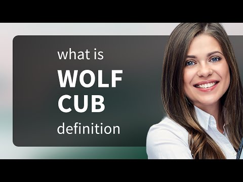 Wolf cub — meaning of WOLF CUB