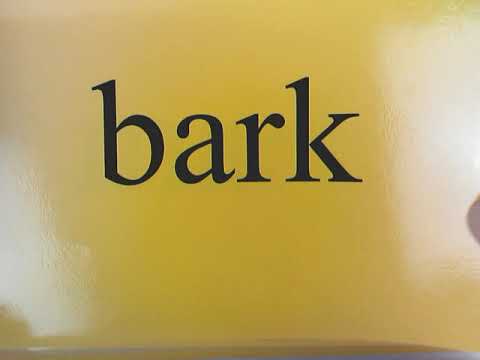 Words With The AR Sound