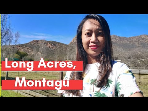 The struggled of Pronunciations! || Nanette Du Plessis