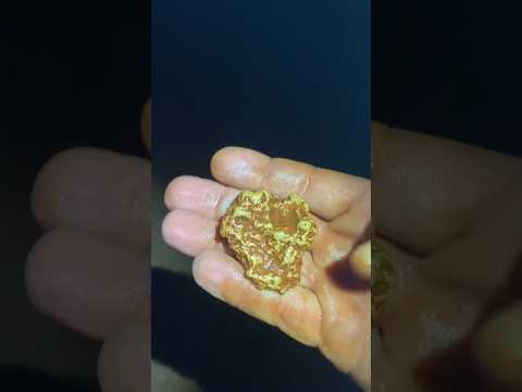 Gold prospecting in Western Australia for Gold Nuggets #metaldetecting #goldprospecting