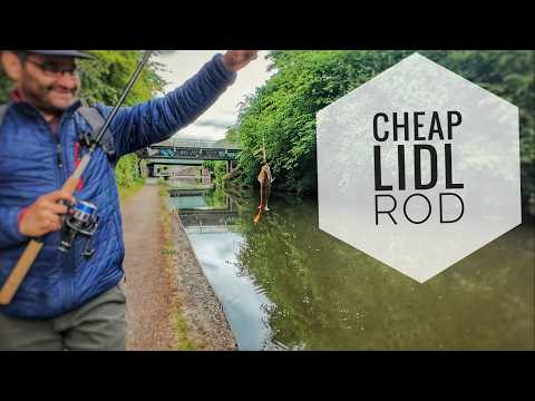 Cheap LIDL Fishing Rod Rocktrail Review Lure Fishing